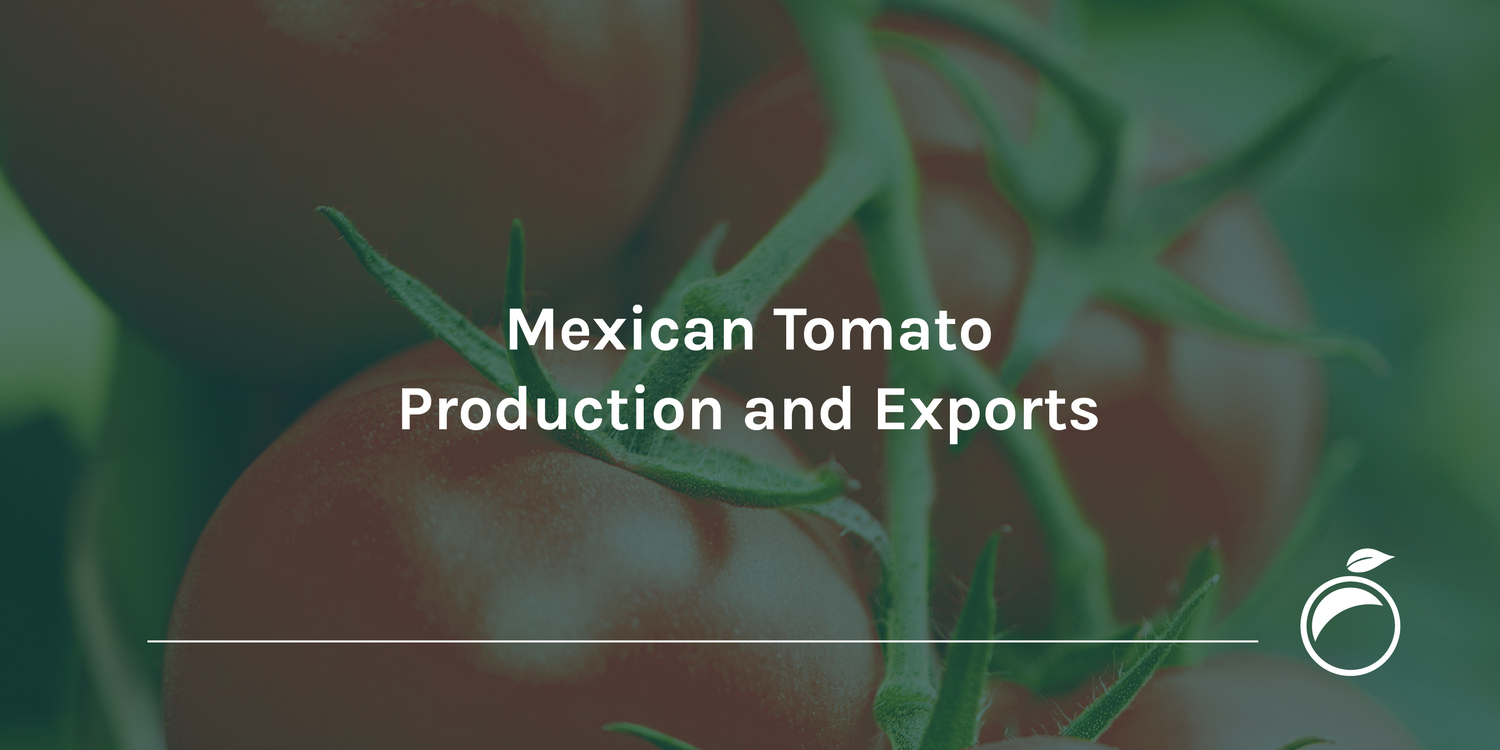 Mexican Tomato Production and Exports - ProducePay